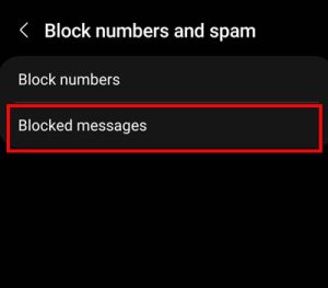 Do Blocked Messages Get Delivered When Unblocked?