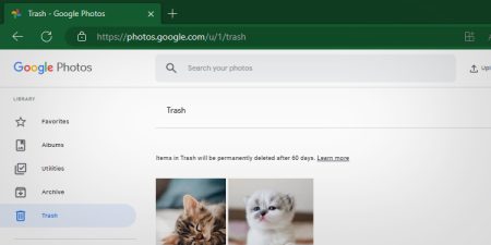 How to See Hidden Photos in Google Photos