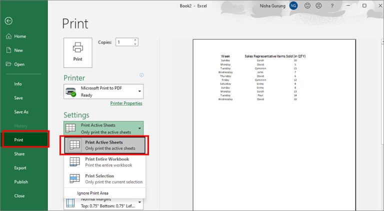 How to Set Print Area in Excel (4 Ways)