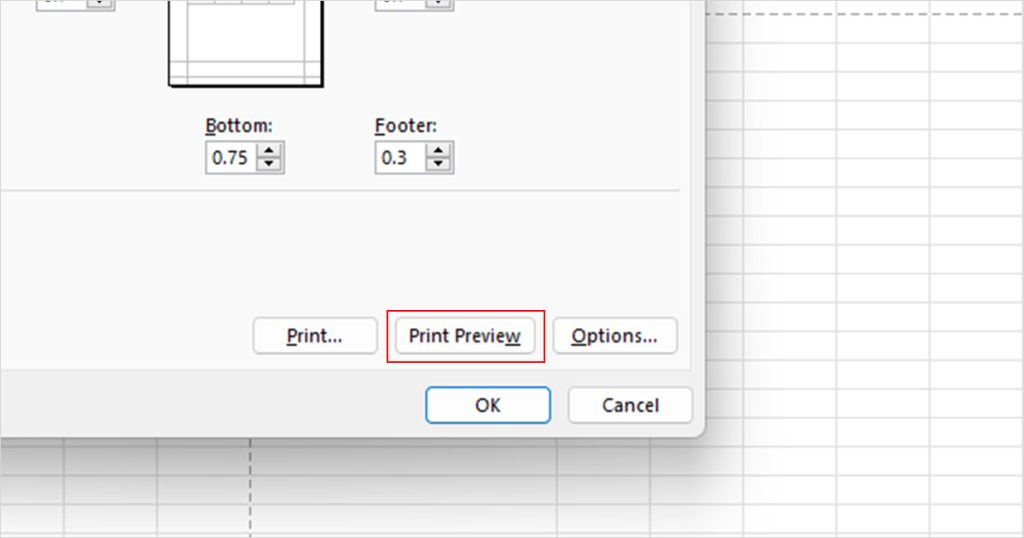 How to Print a Worksheet on Excel Sheet