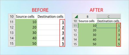 Complete Guide to Use Format Painter in Excel