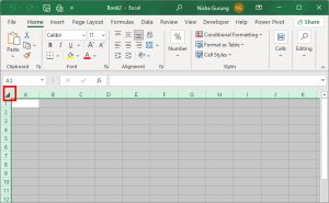How to Select Multiple Cells in Excel Easily?