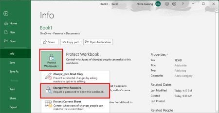 How to Password Protect an Excel Sheet