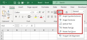 How to Change Text Direction in Excel