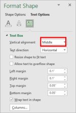 How to Change Text Direction in Excel