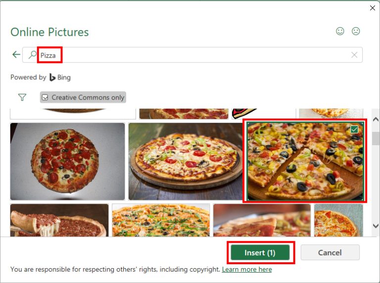 How to Insert Image Into Cell