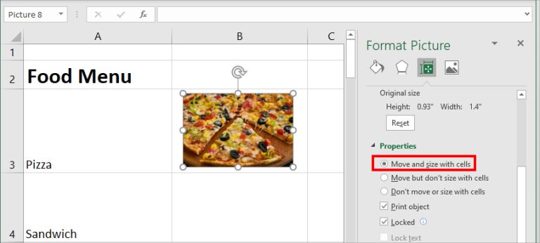 How to Insert Image Into Cell