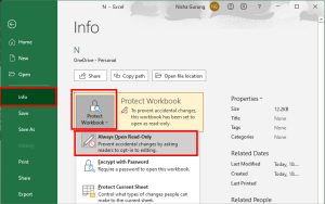 How to Open a Read-only Excel File