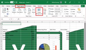 How to Remove Page 1 Watermark in Excel