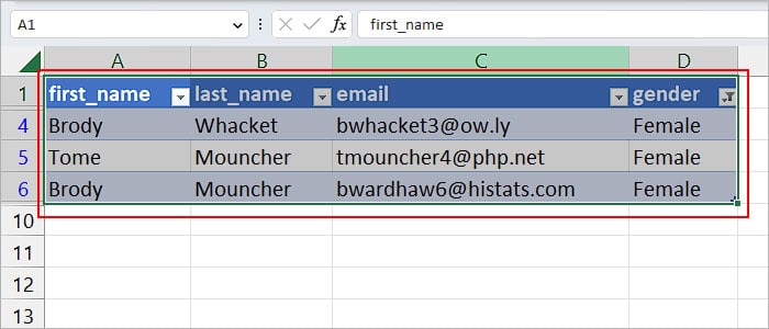 How To Copy Filtered Data In Excel