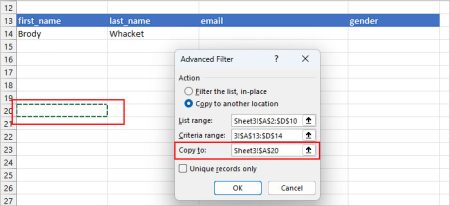 How to Copy Filtered Data in Excel