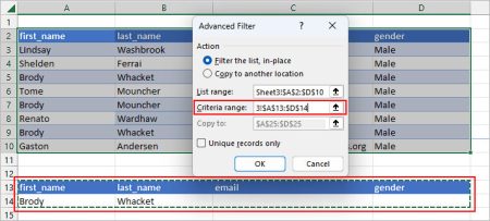 How to Copy Filtered Data in Excel