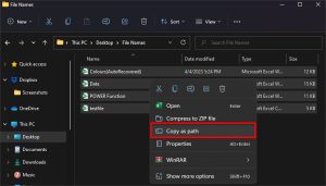 How to Copy File Names Into Excel