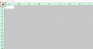How to Expand All Columns in Excel