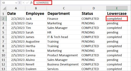 How to Use LOWER Function in Excel