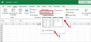 How to Take a Screenshot in Excel