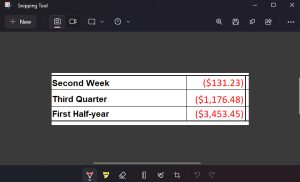How to Take a Screenshot in Excel