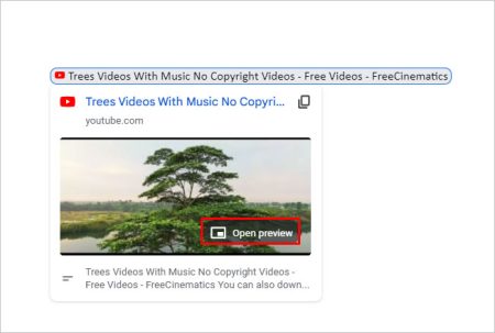 How to Add a Video on Google Docs
