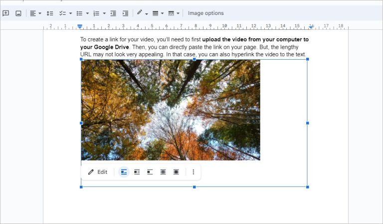 How to Add a Video on Google Docs