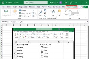 How to Take a Screenshot in Excel