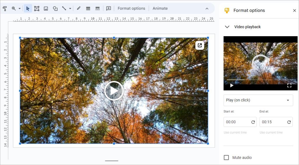 How to Add a Video on Google Docs