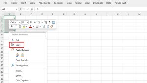 13 Ways How You Can Enter Data in Excel