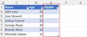 How to Add Yes or No in Excel