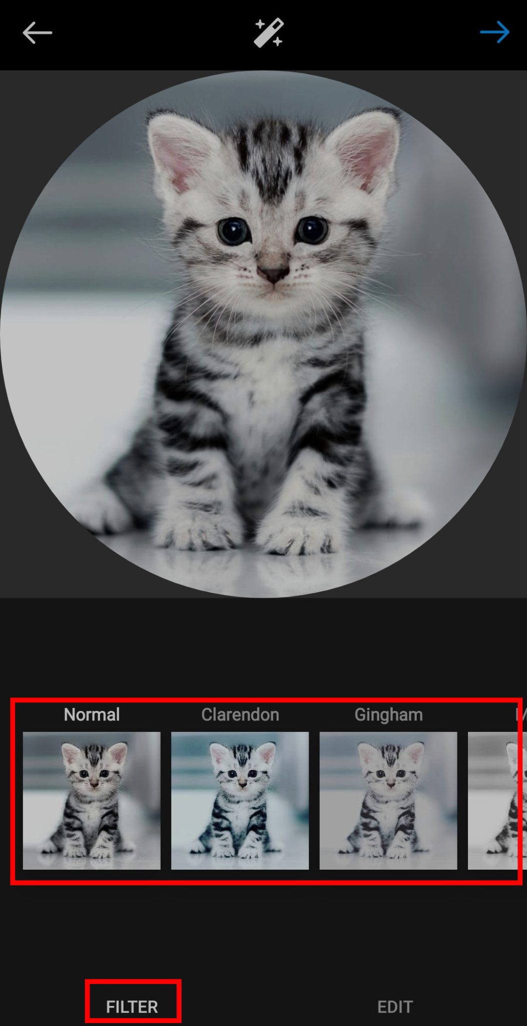 How to Add Profile Picture on Threads