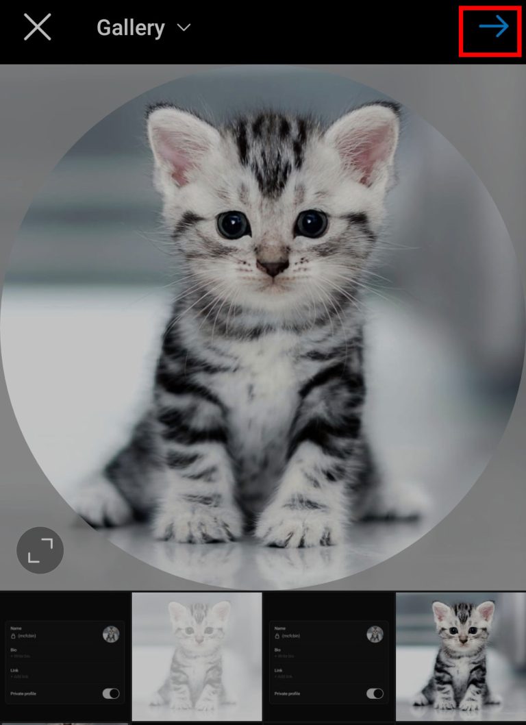How to Add Profile Picture on Threads