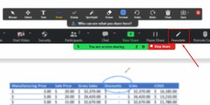 How to Draw on Zoom Whiteboard