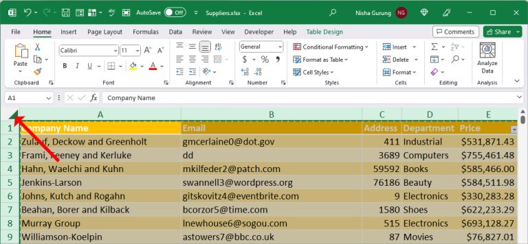 How to Duplicate an Excel File
