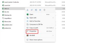 Fix: The File Could Not Open in Protected View