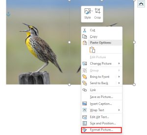 How to Mirror (Flip) an Image in Microsoft Word