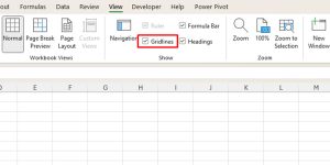 Grid Lines Not Showing - 7 Ways to Fix It