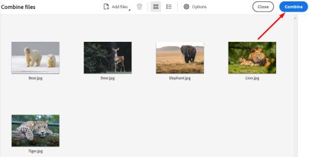 How to Combine Multiple JPEGs into PDF