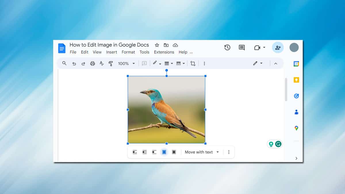 How to Edit Images in Google Docs