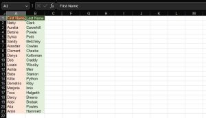 How to Generate Random Name in Excel