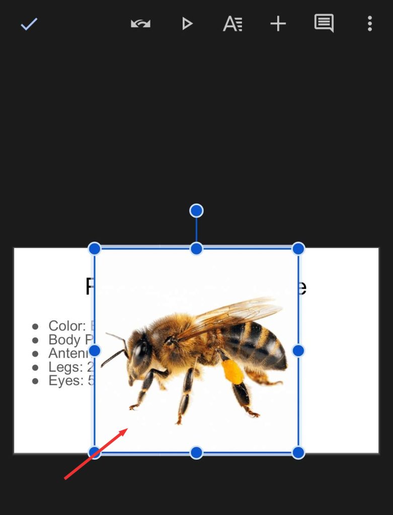 How to Put GIF Image in Google Slides