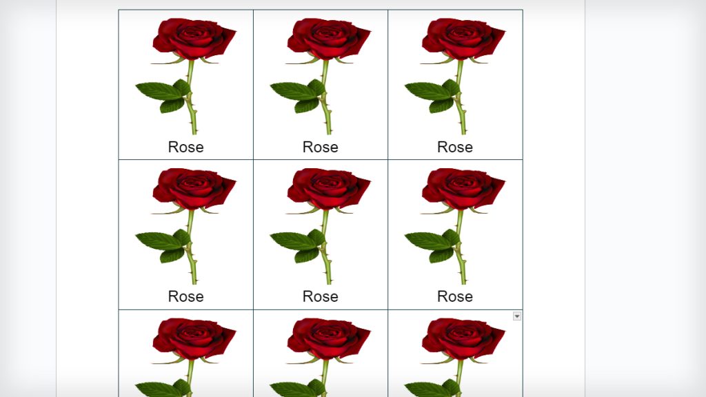 How to Make Flashcards on Google Docs (Step-By-Step Guide)