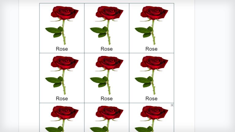 How to Make Flashcards on Google Docs (Step-By-Step Guide)