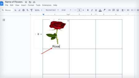 How to Make Flashcards on Google Docs (Step-By-Step Guide)