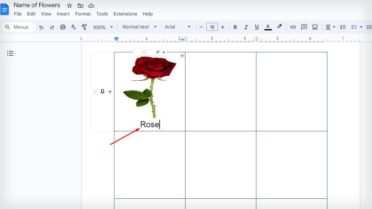 How to Make Flashcards on Google Docs (Step-By-Step Guide)