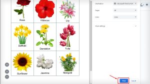 How to Make Flashcards on Google Docs (Step-By-Step Guide)