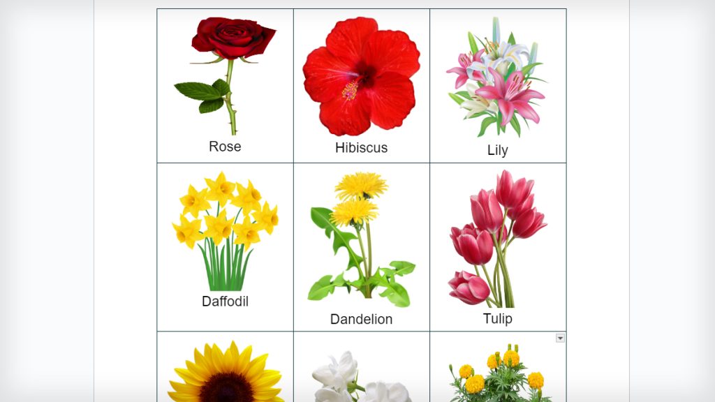 How to Make Flashcards on Google Docs (Step-By-Step Guide)