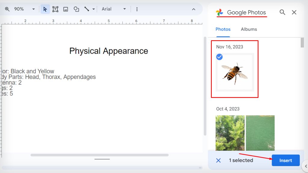 How to Put GIF Image in Google Slides