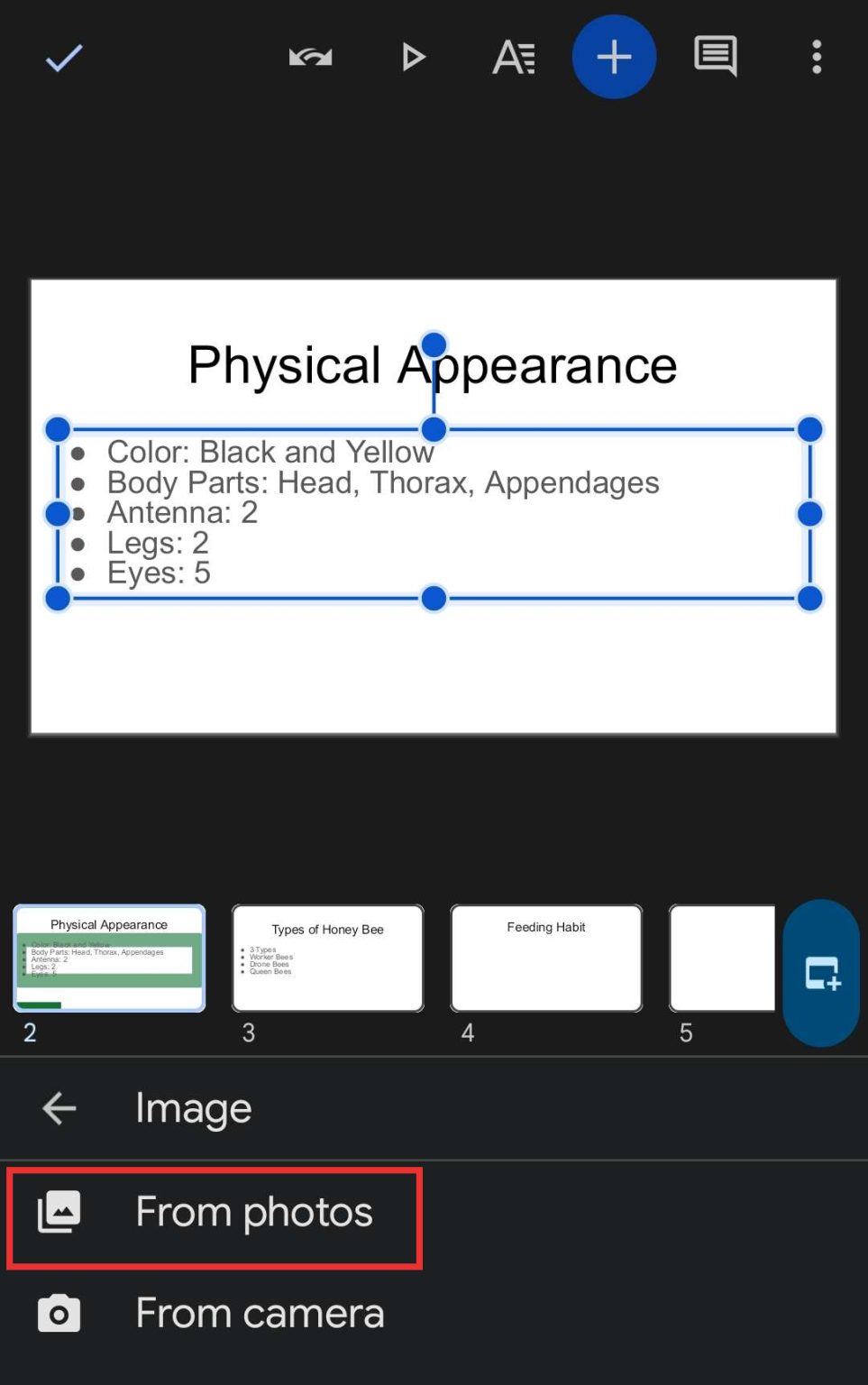 How to Put GIF Image in Google Slides