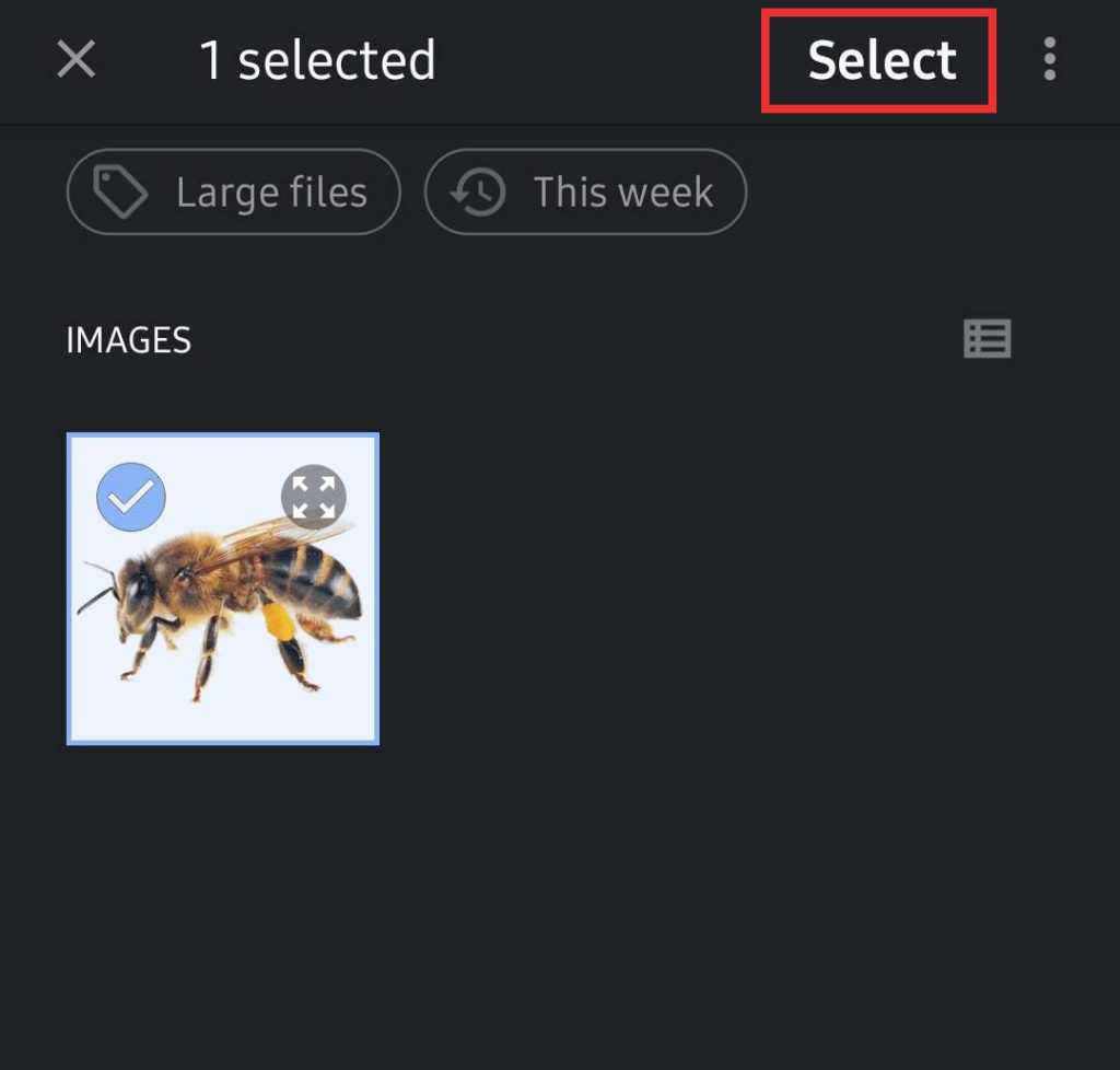 How to Put GIF Image in Google Slides