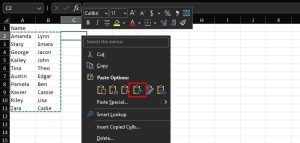 How to Split Excel Cell Into Two Rows in Excel