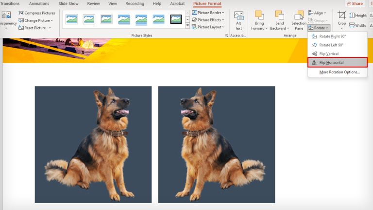 How to Quickly Flip Image on PowerPoint
