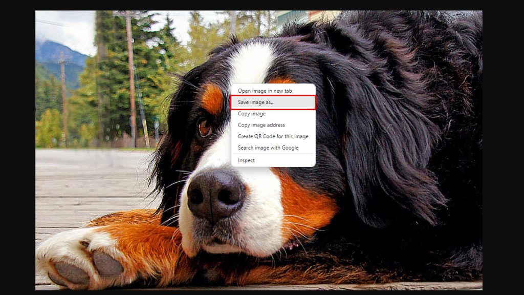 How to Download Gmail Images on Your Device